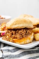 25 Instant Pot One Pot Meals Made in Minutes | SwagGrabber