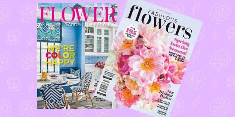 Free Magazine Subscriptions | SwagGrabber