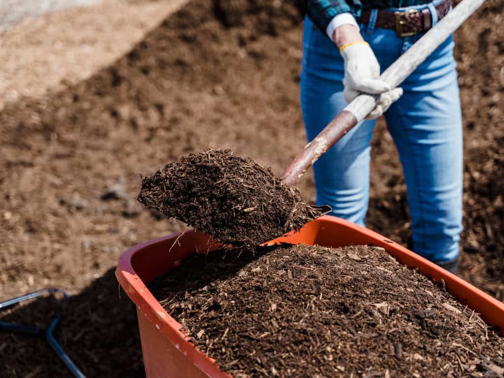 How to Get Free Mulch for Your Garden (And Save Big!) | SwagGrabber